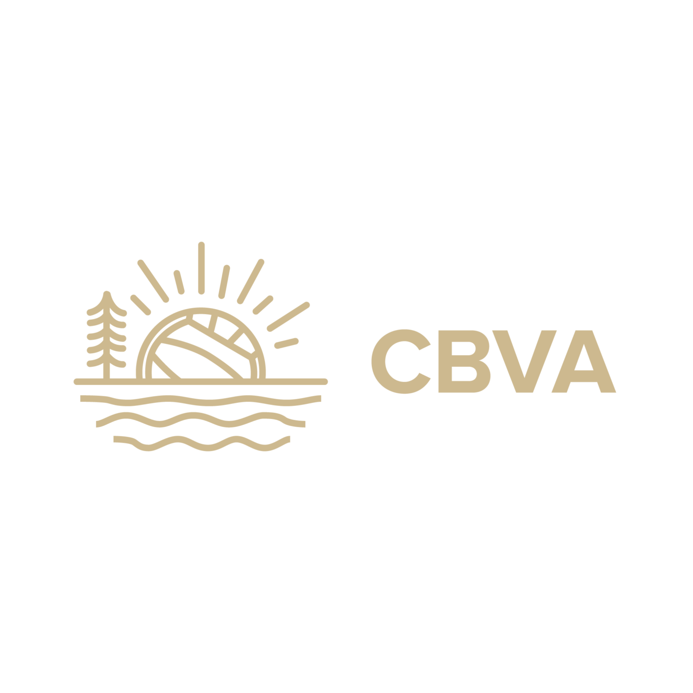 Learn and grow with our supportive, qualified coaches | CBVA