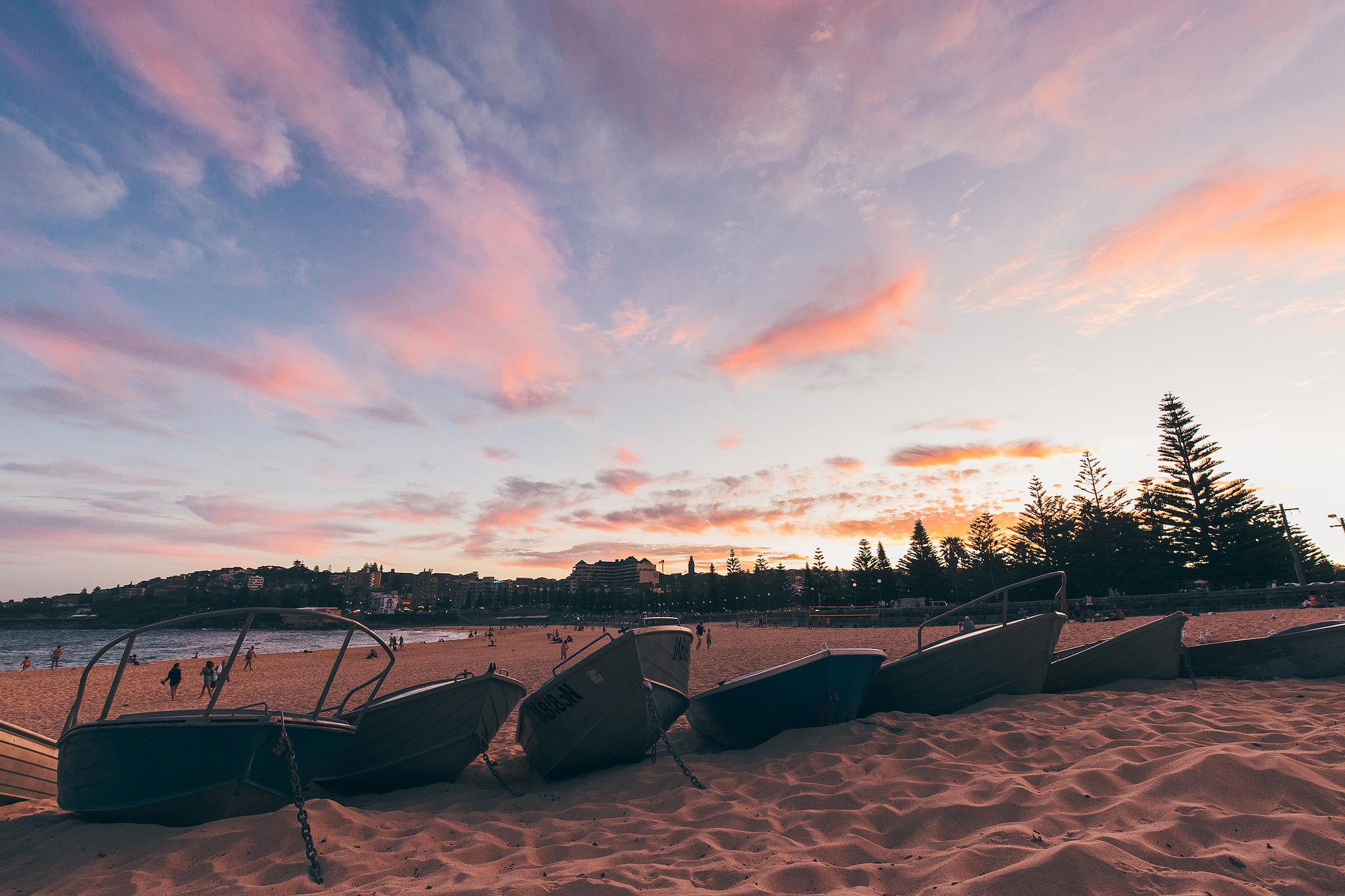 Exciting changes to CBVA training classes | CBVA